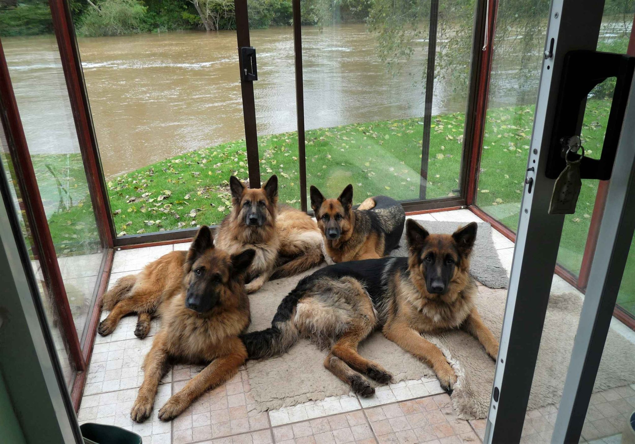 Business Park Security - Dog Security Services